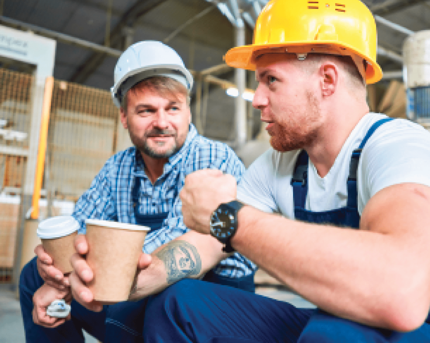 Creating and Managing a Healthy Workplace - BMINZ